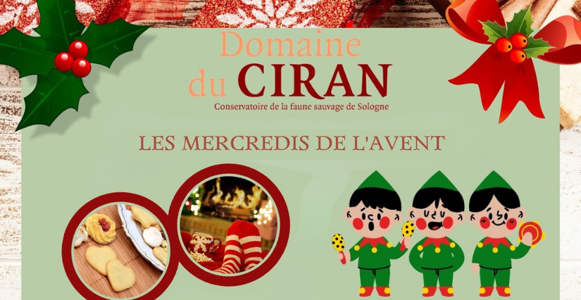 Les après-midi de l'Avent au Domaine du Ciran | Kidiklik